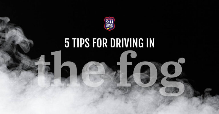 5 Tips for Driving in the Fog | 911 Driving School